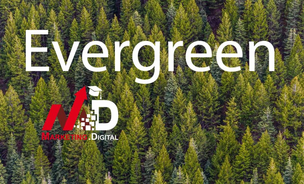 Comprendre le terme Evergreen en marketing - Marketing.digital